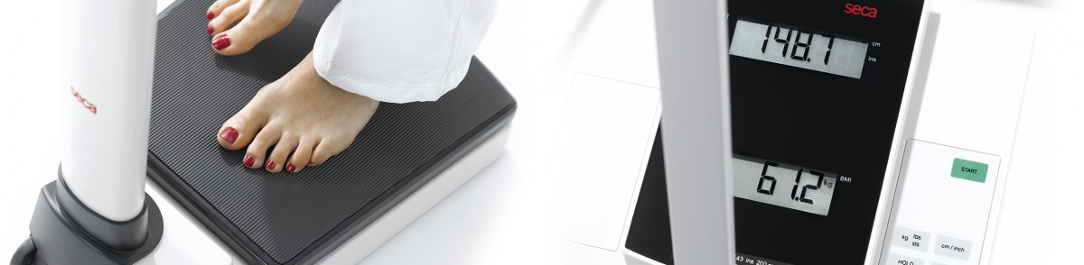 Seca 763 Electronic Column Scale – HCE Ghana Limited
